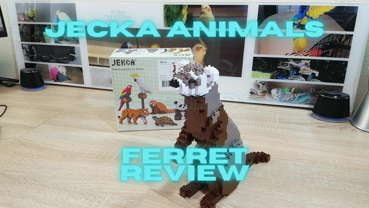 JEKCA Ferret Review - YouTube