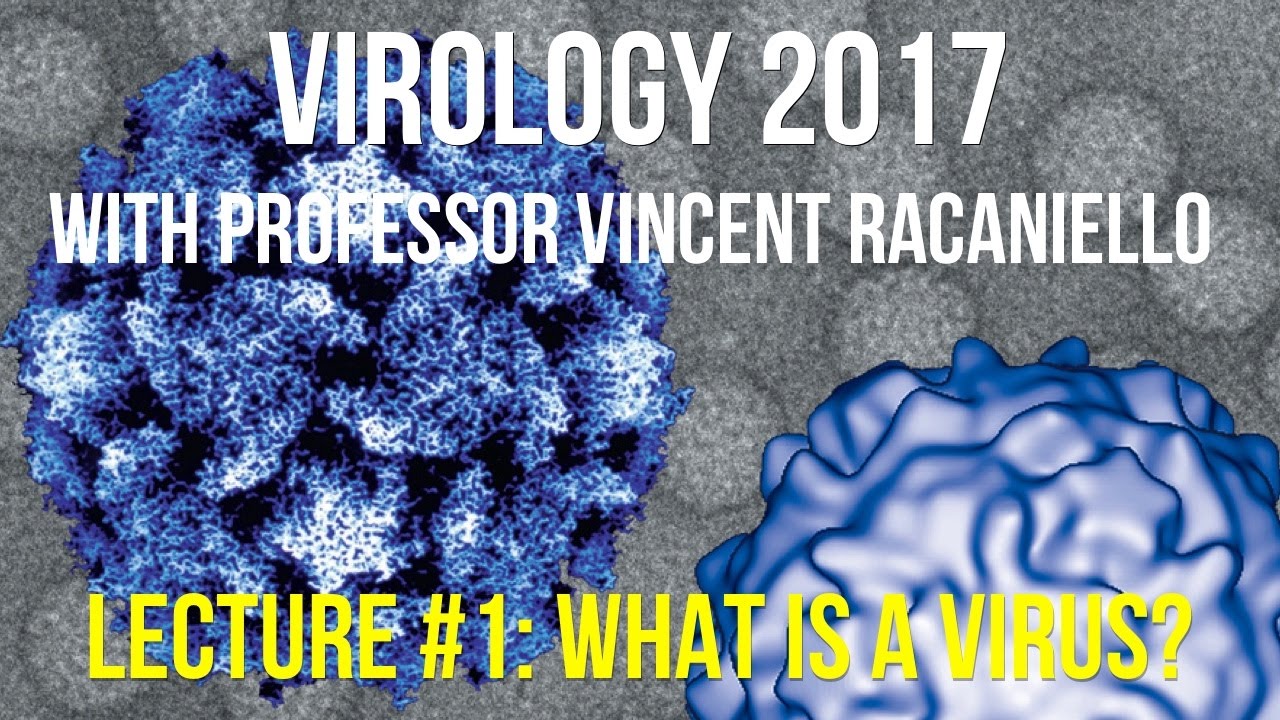 Virology Lectures 2017 #1: What is a Virus? - YouTube