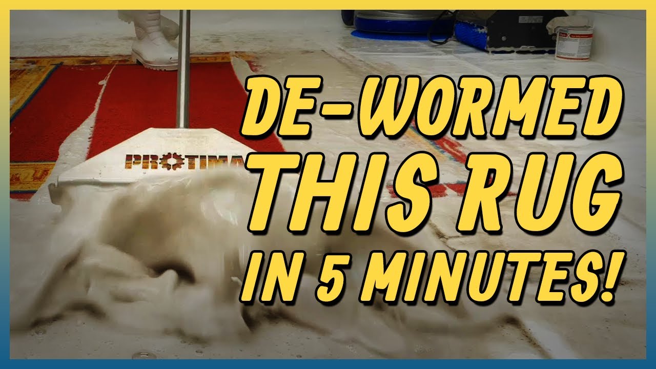 Unbelievably Dirty Rug Cleaning | Satisfying Restoration | In under 5 ...