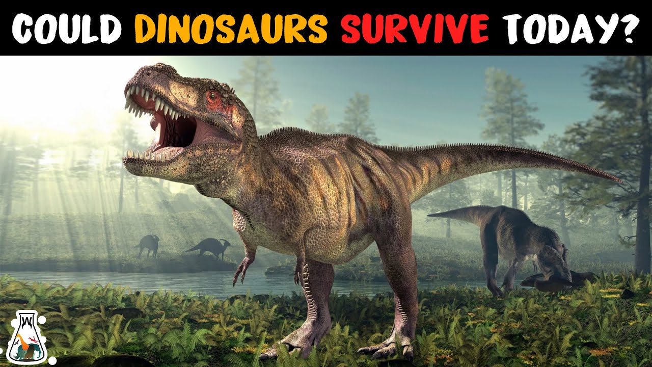 Could Dinosaurs Survive Today? - YouTube