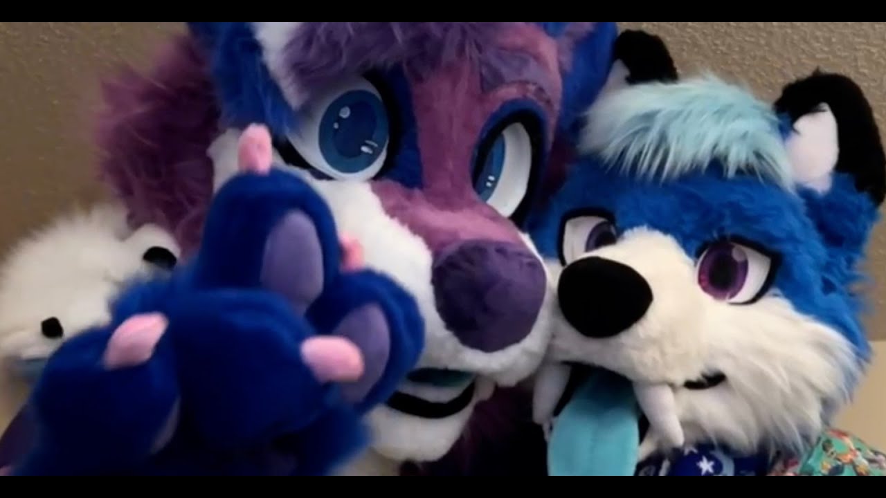 AshiPaws Fursuit Unboxing - YouTube