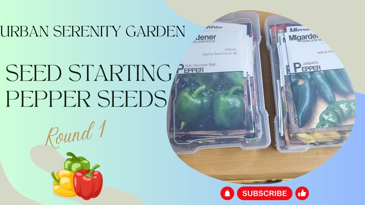 Seed Starting-Pepper Seeds - YouTube