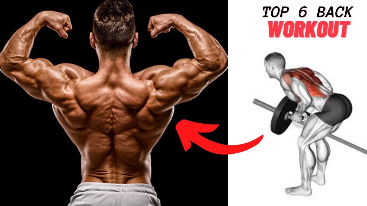 6 Exercises To Build A Big Back || 6 Quick Effective Back Exercises ...