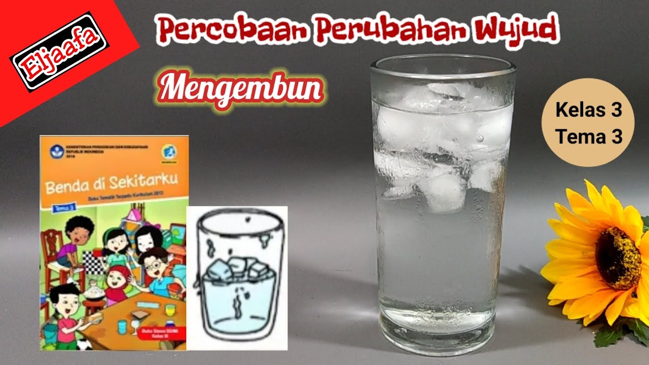 Percobaan Perubahan Wujud dari Gas Menjadi Cair | Proses Mengembun ...