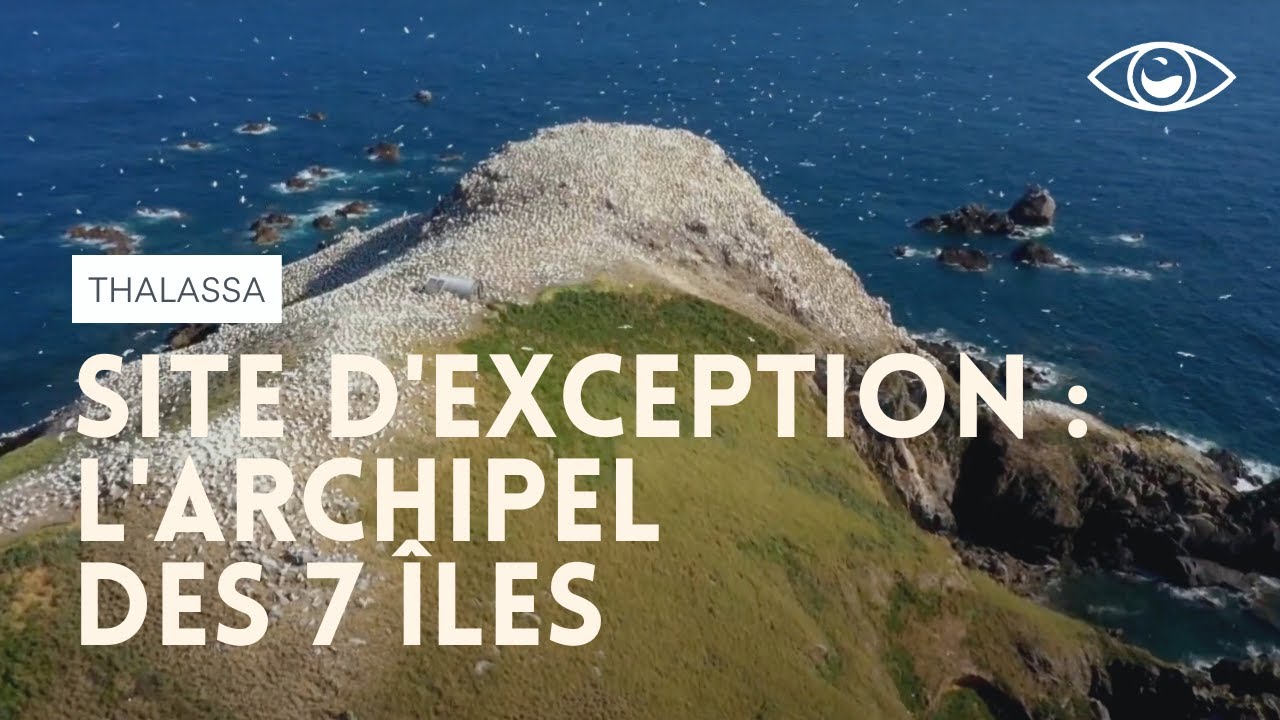 L'archipel des 7 Îles... Un endroit exceptionnel ! Thalassa - YouTube