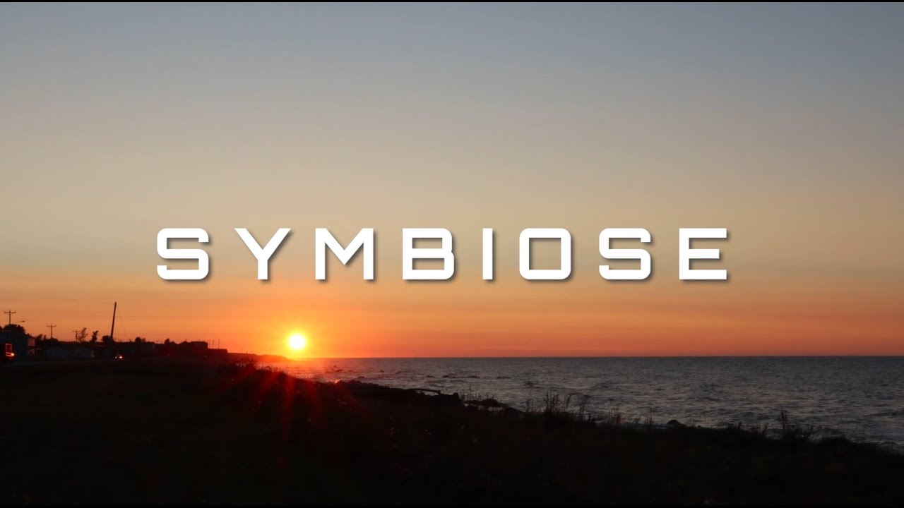Symbiose par Jessica Labrecque& Rémi Beaumont. Musique de ThankYouDear ...