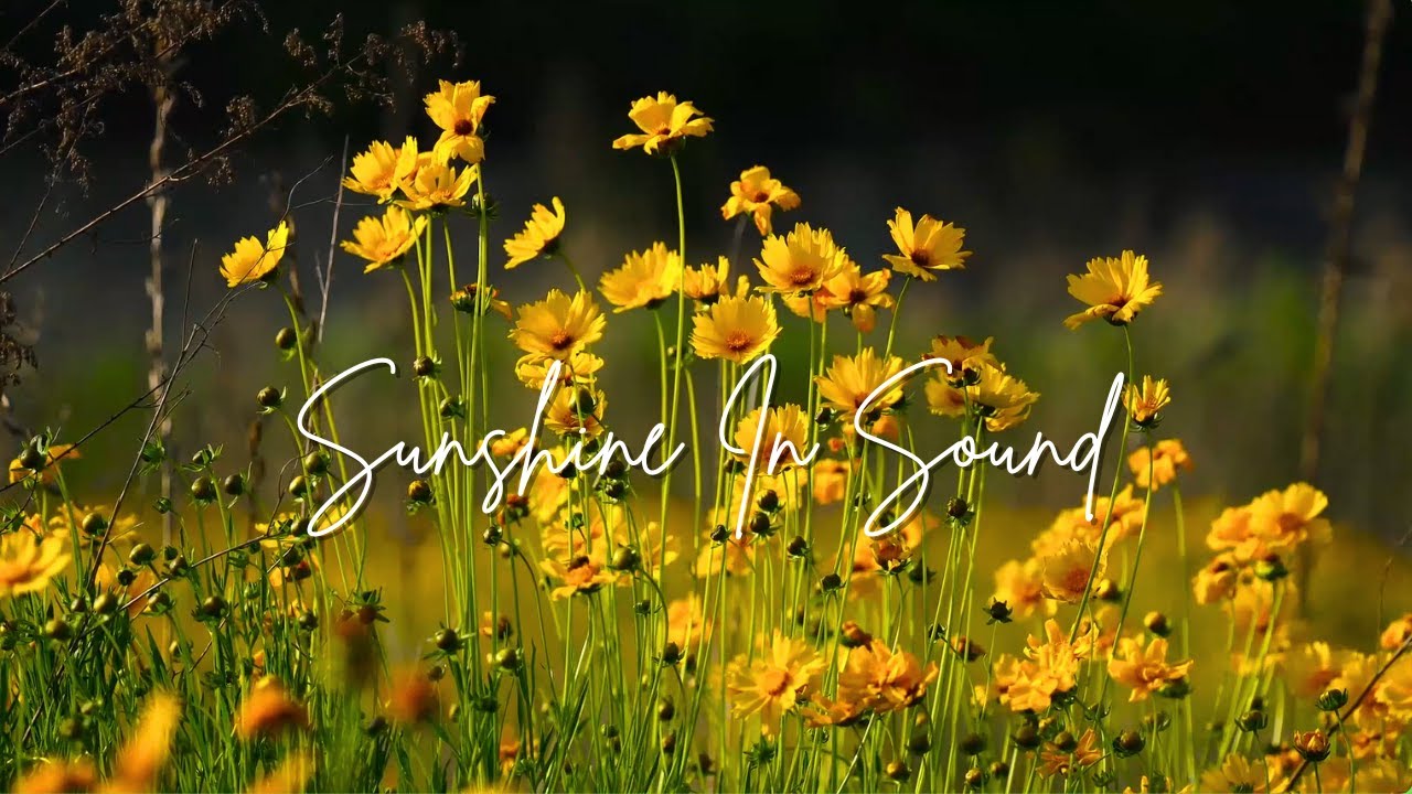 Sunshine in Sound - Relaxing Piano Music for Peaceful Moments, Stress ...