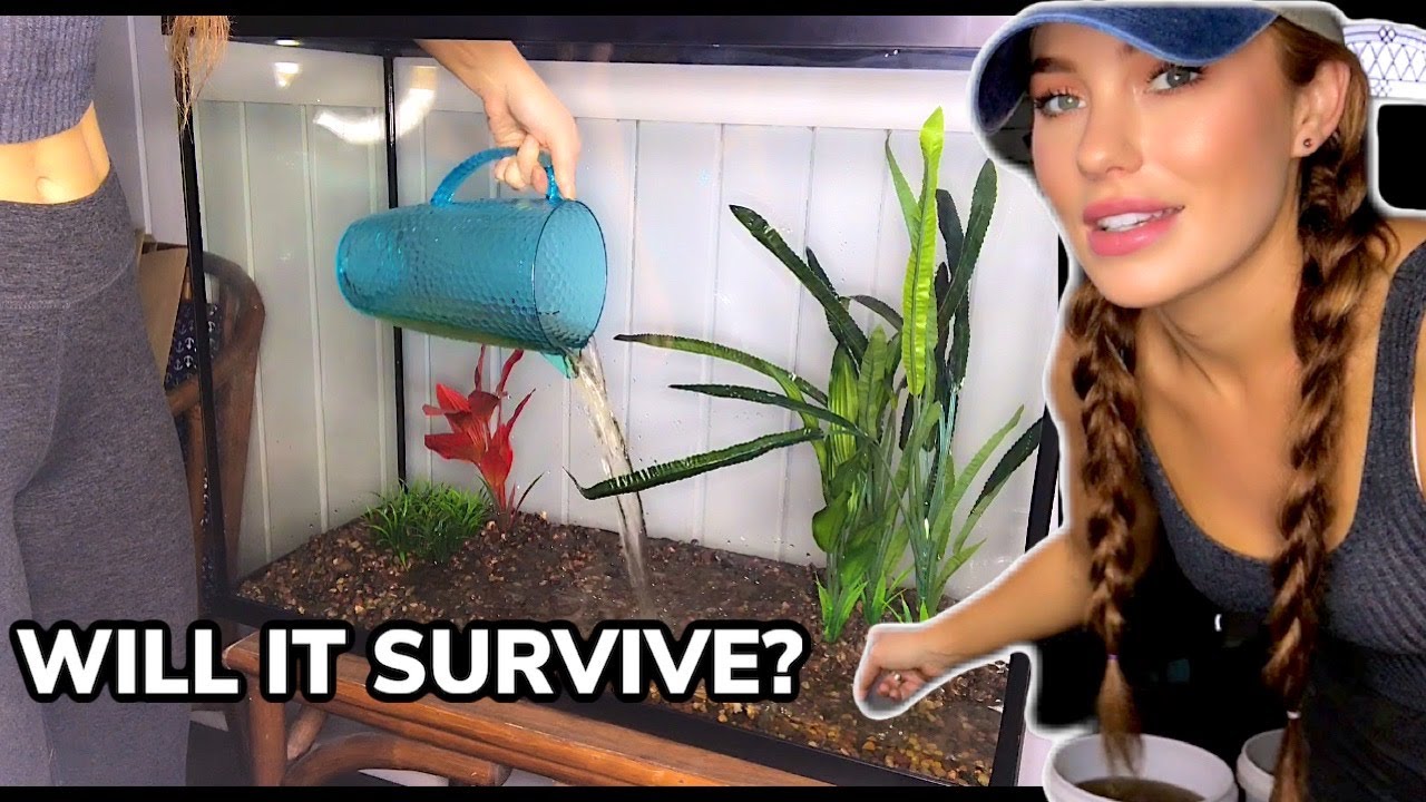I MADE An AQUARIUM For MY PET CRAPPIE (Gamefish In Brackish Water Test ...