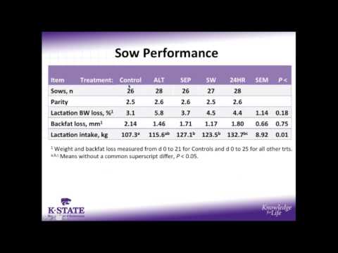 Suckling Reduction and Boar Exposure to Induce Estrus in Lactating Sows