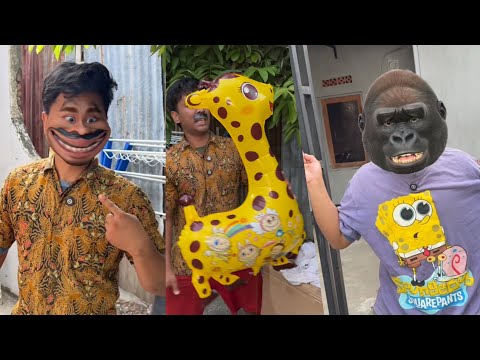 vidio terbaik lucu batviss boy bulan awal oktober 2025