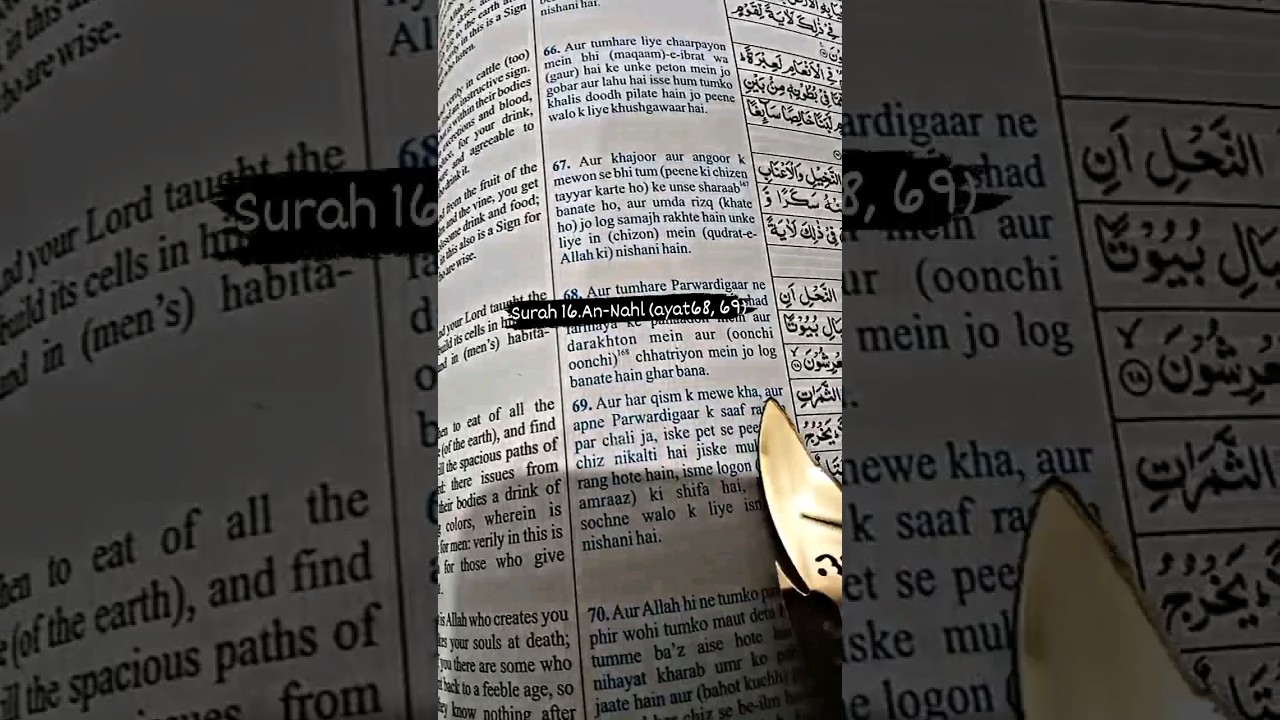 surah 16 An- Nahl..(ayat68, 69) 🤲🏻🕋🇸🇩#freepalestine #palestine # ...