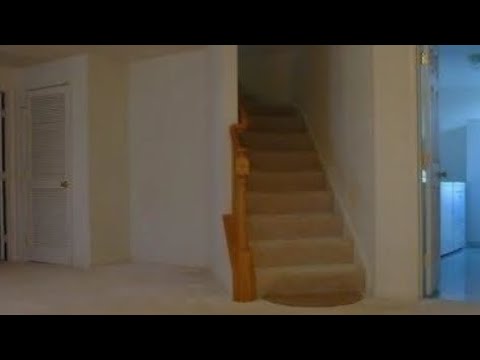 level 231 (Backrooms) - YouTube