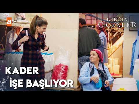 Kader işe başlıyor - Kırgın Çiçekler 19. Bölüm