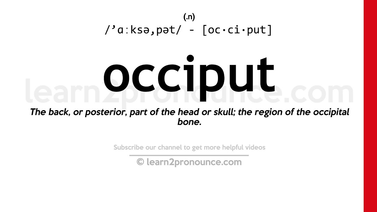Pronunciation of Occiput | Definition of Occiput - YouTube