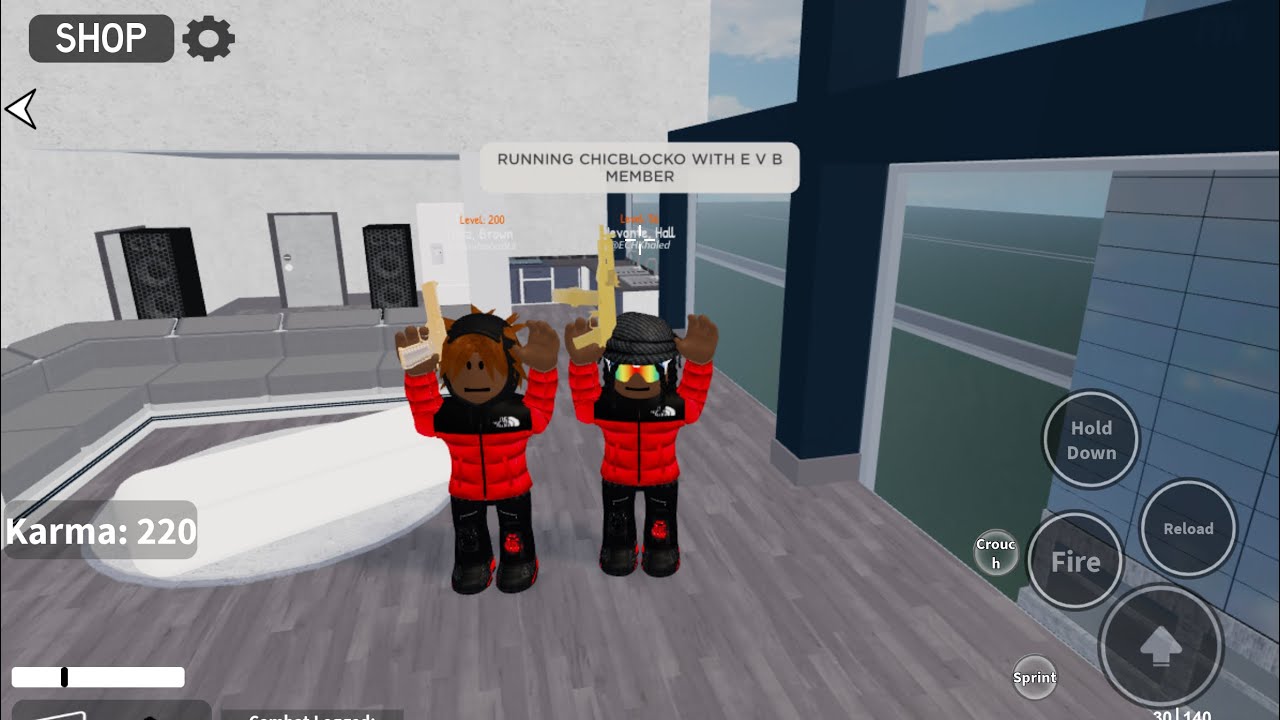 Clearing my safe in chicblocko roblox because of safe wipe (giveaway ...