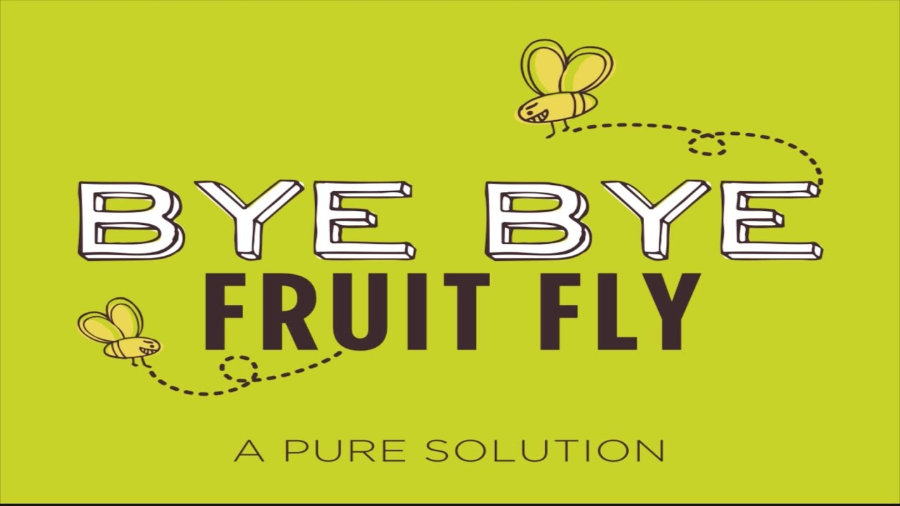 Commercial for Bye Bye Fruit Fly - YouTube