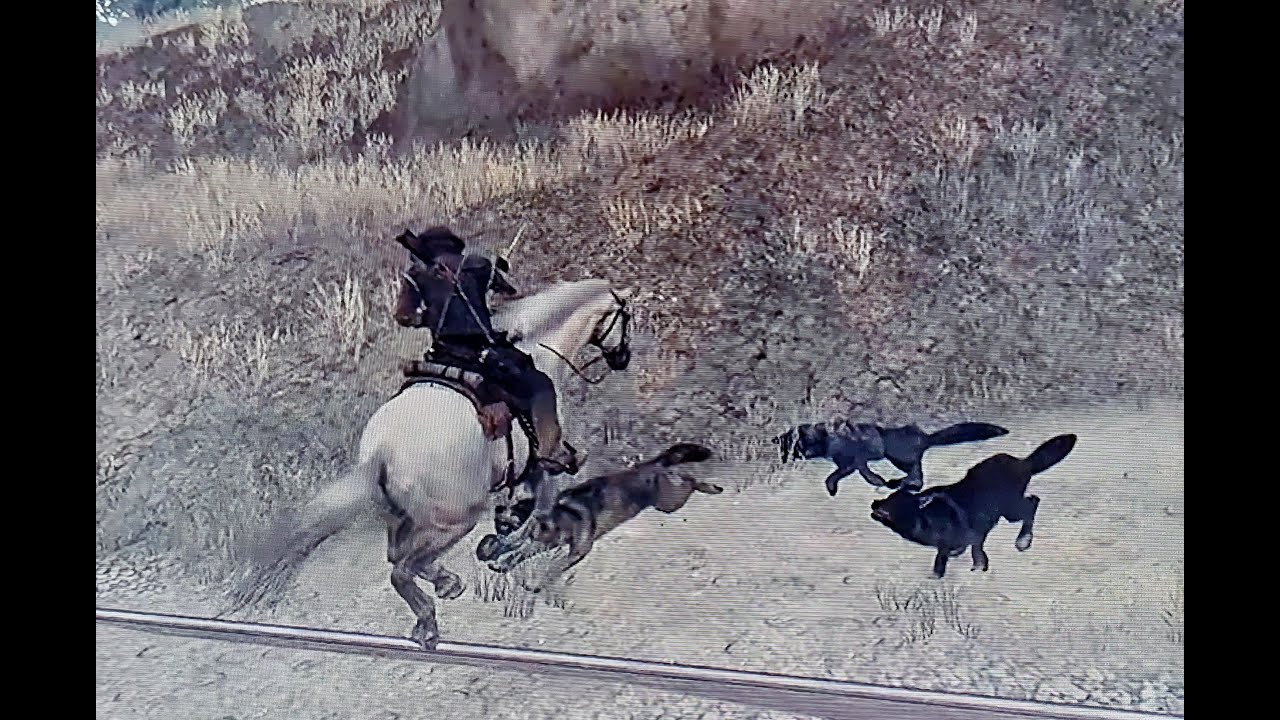 Red Dead Redemption Master Hunter 2 - 4 On PS5 - YouTube