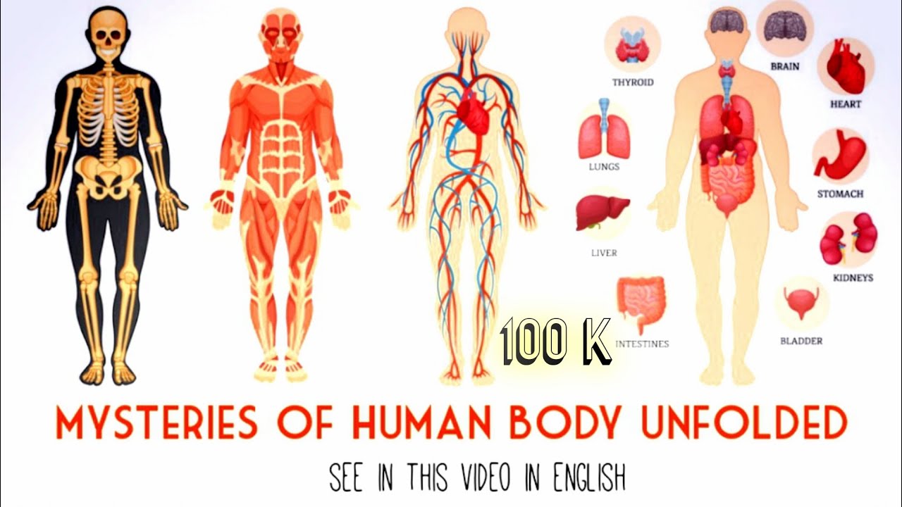Mysteries of human body unfolded | #mystery #human #facts #survival # ...