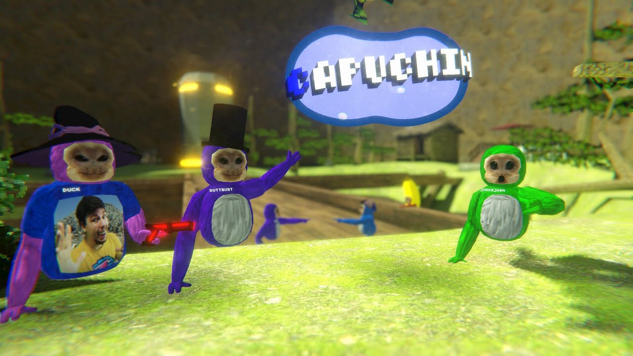 Capuchin play through #gorillatag #vr - YouTube