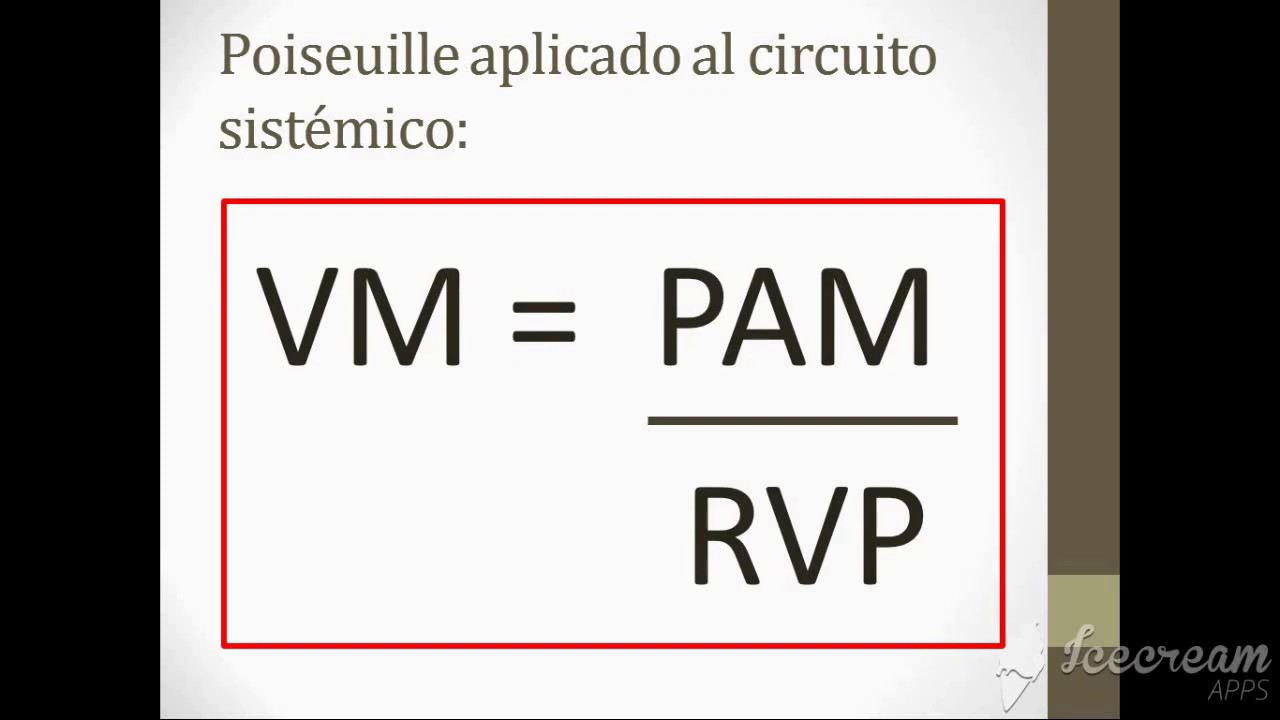 Presion Arterial Media Fisiologia UBA - YouTube