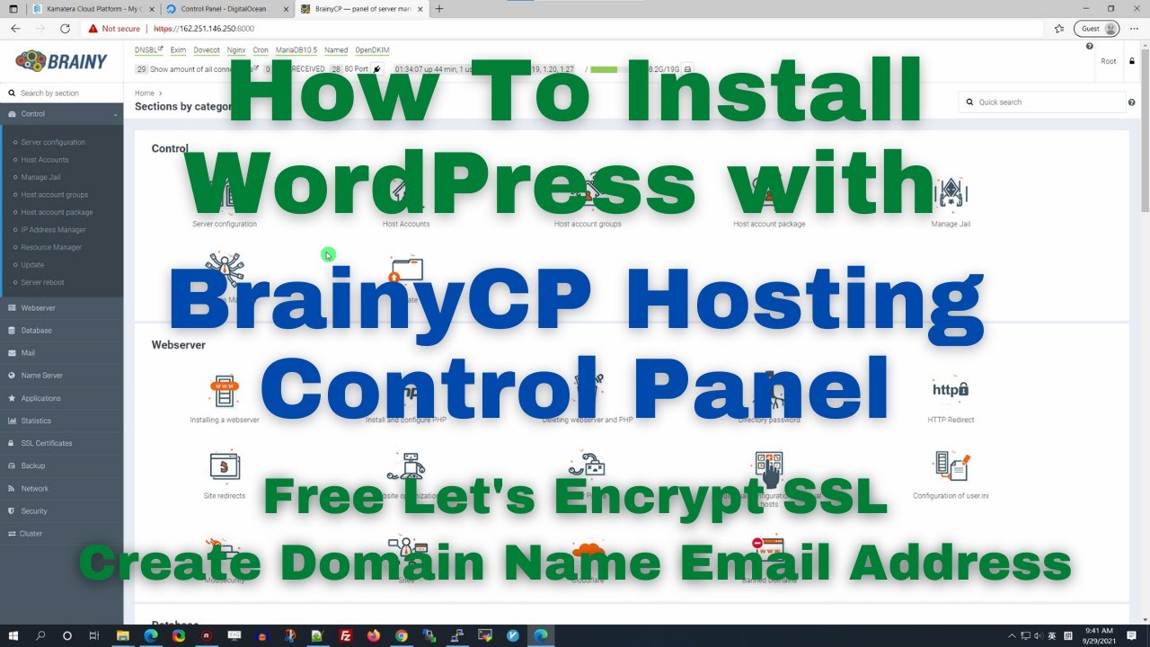 How To Install WordPress with BrainyCP Hosting Control Panel (Create Domain Name Email Address ...