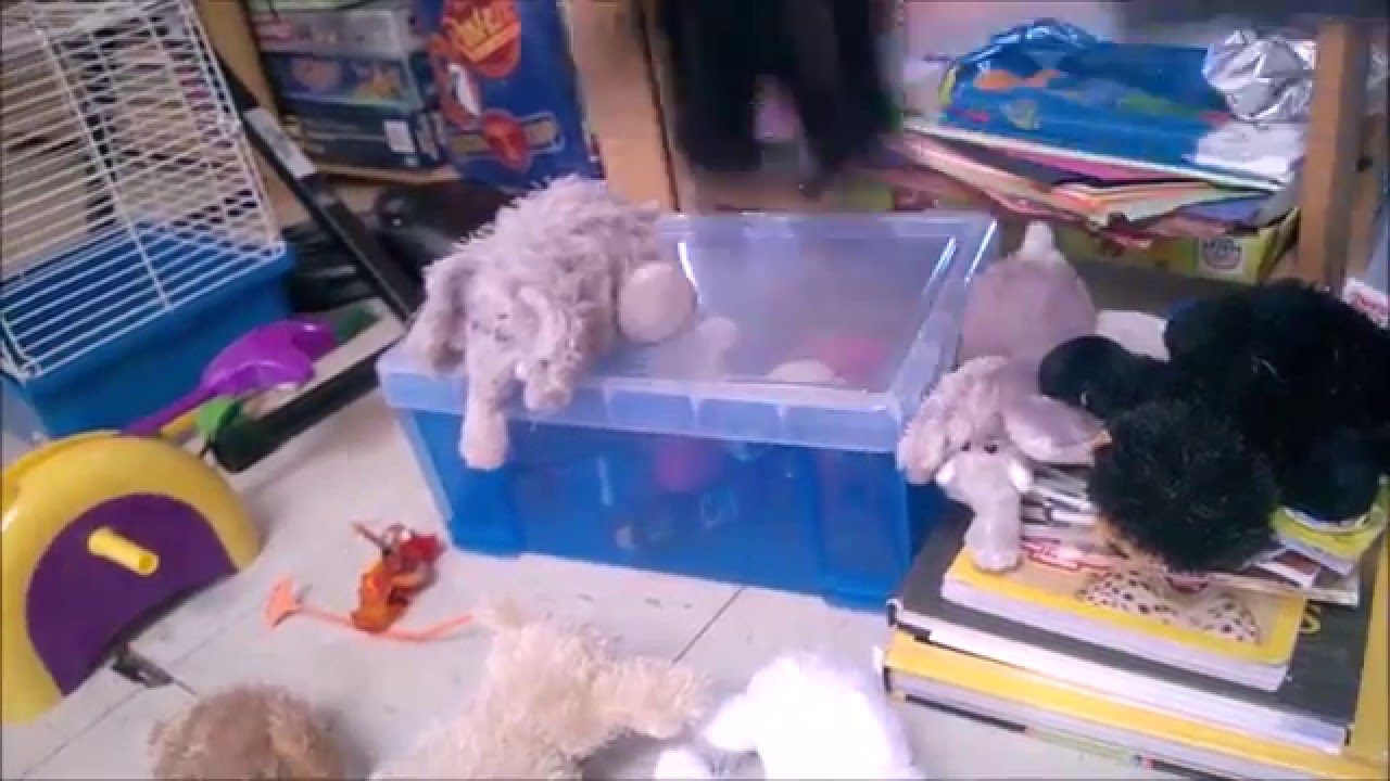 Mr. Baloo is upset! (Read Description) - YouTube