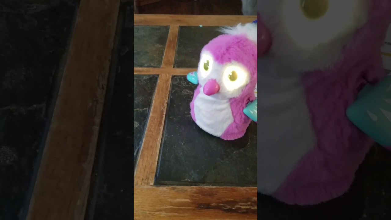 How to feed your Hatchimal and play tag - YouTube