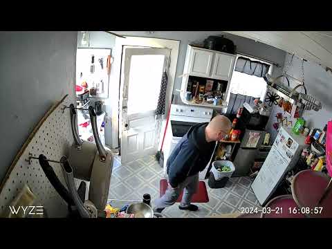 Late Afternoon Dog Releasing Single Stage Kitchen Fart - Kitchen Wyzecam