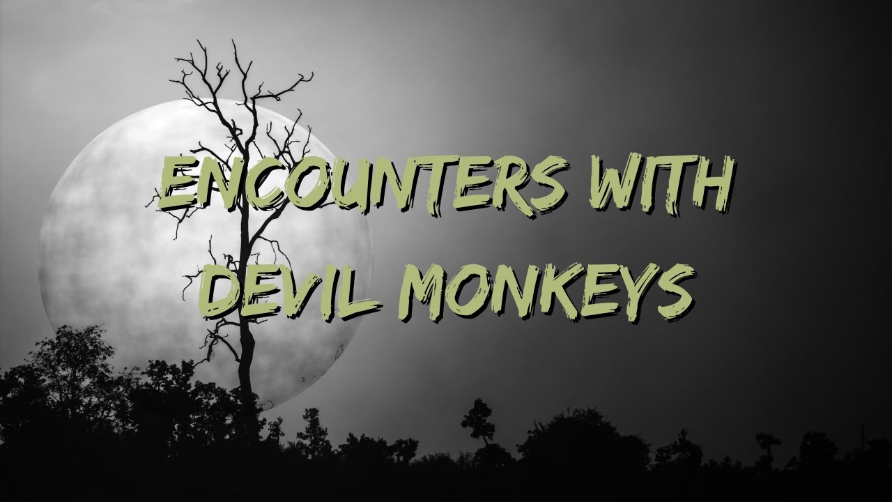 Encounters with Devil Monkeys - YouTube