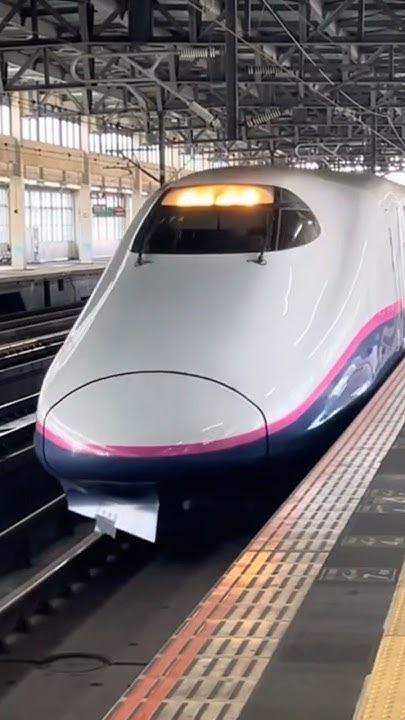 2025年4月19日東北新幹線E2系J74編成やまびこ51号盛岡行き入線 - YouTube