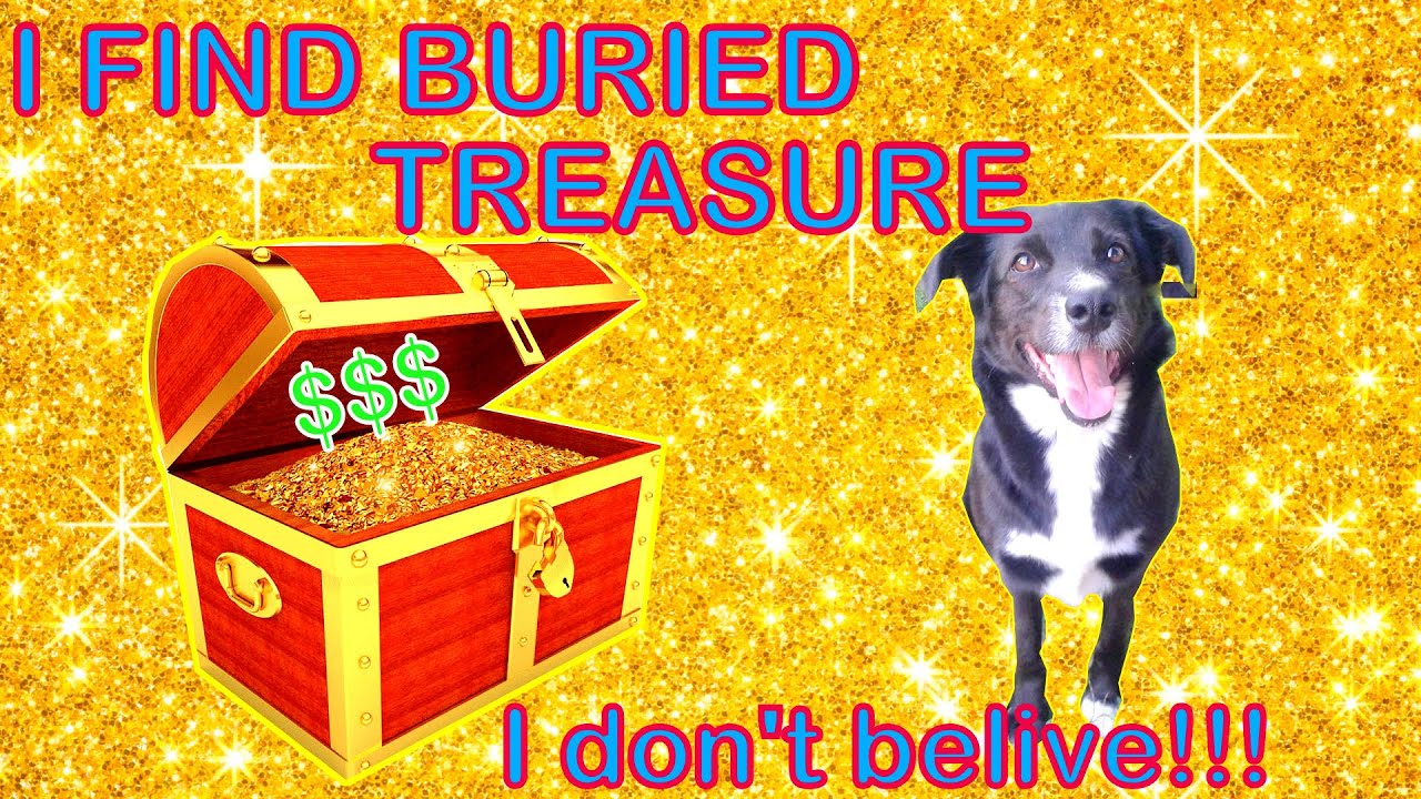 How my dog found the buried treasure - YouTube