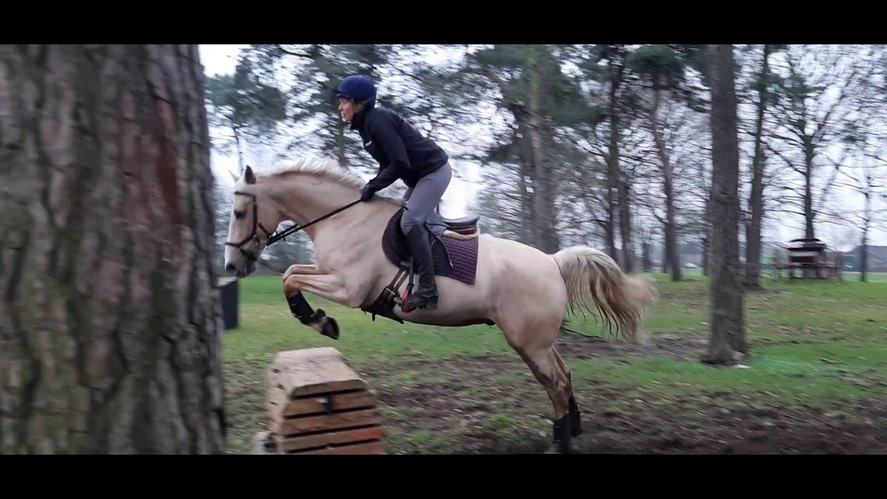 Suzanne de Heus Invicible HDH crosstraining Thomas van Heel - YouTube