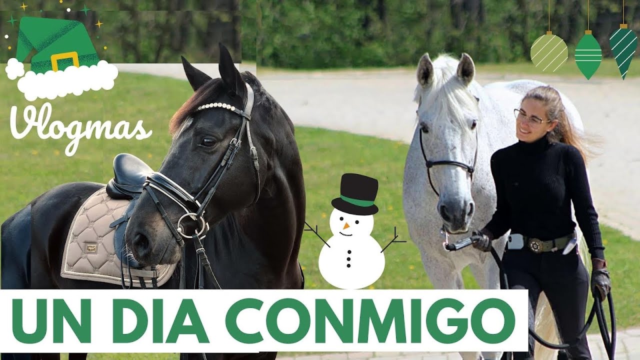 Agueda Dressage YouTube Channel Analytics and Report - NoxInfluencer