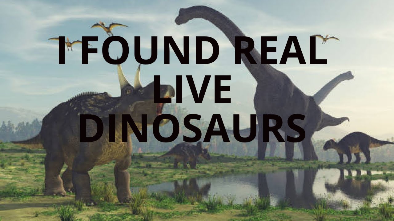 I FOUND REAL LIVING DINOSAURS IN TASMANIA WOW ...