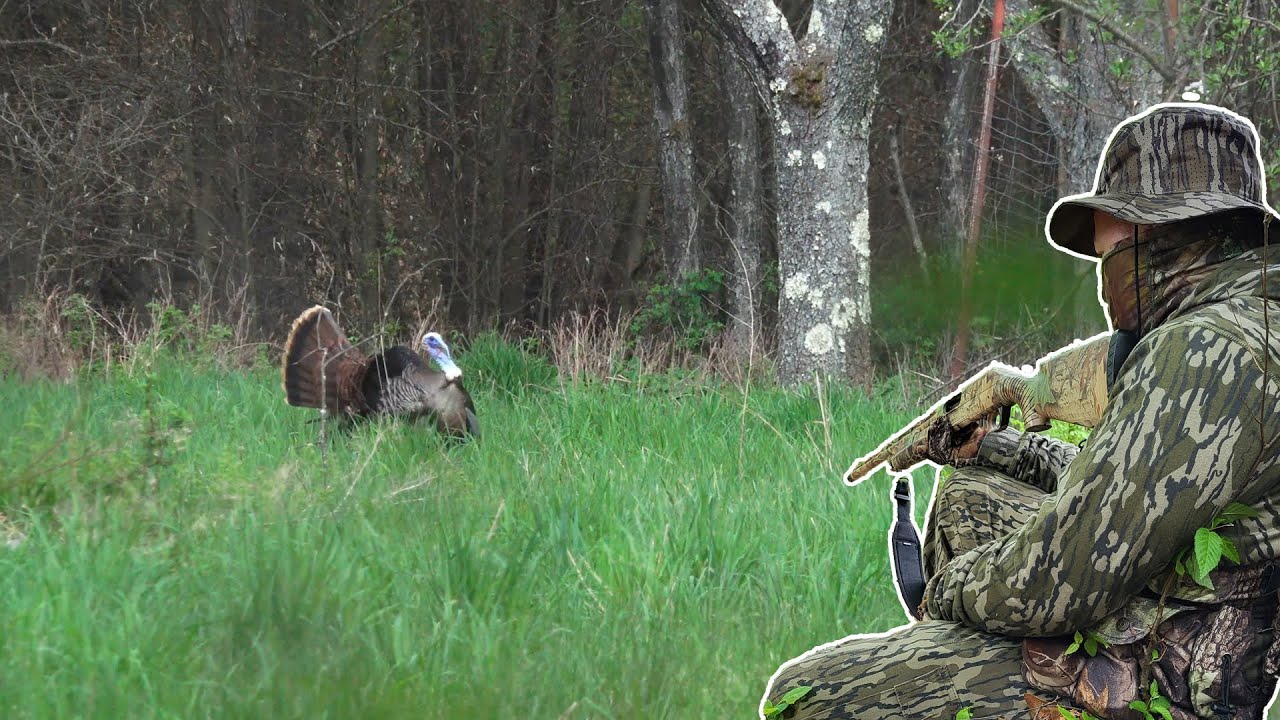 Hardwood Long Beard | Pennsylvania Turkey Hunting - YouTube