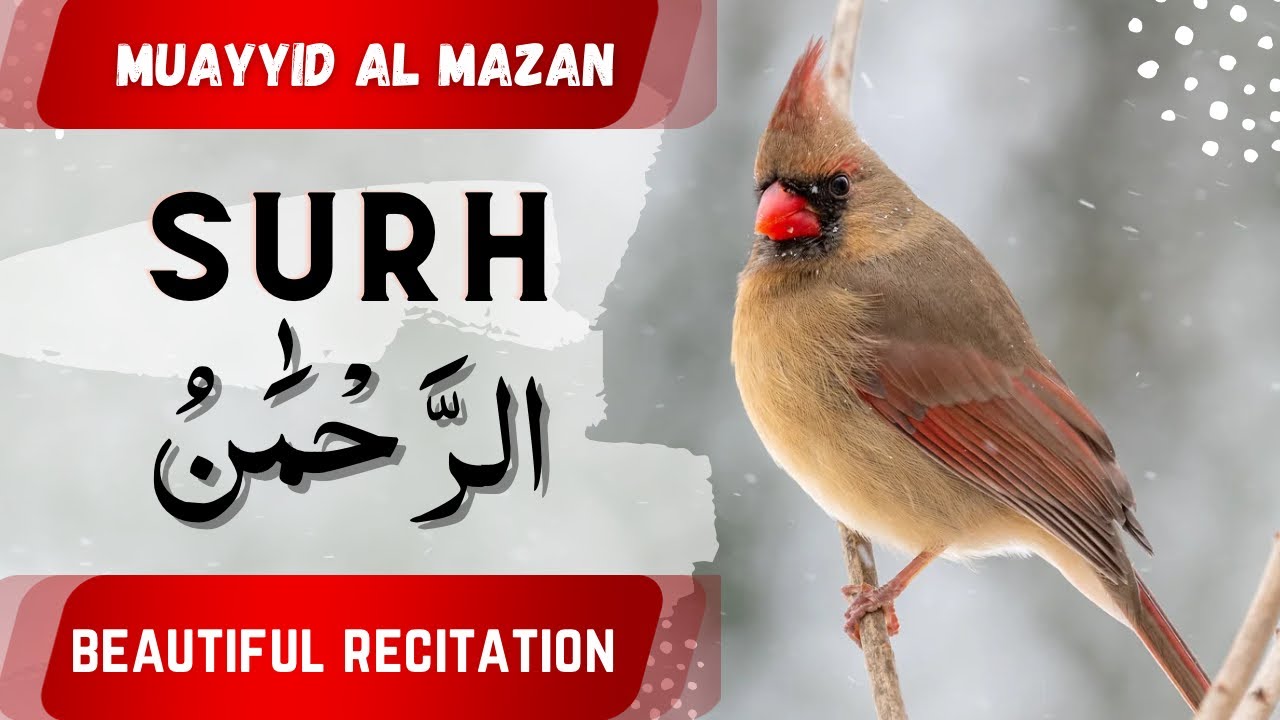 Surah Rehman by Mu'ayyid Al Mazen | A Beautiful Voice for Islamic Soul ...