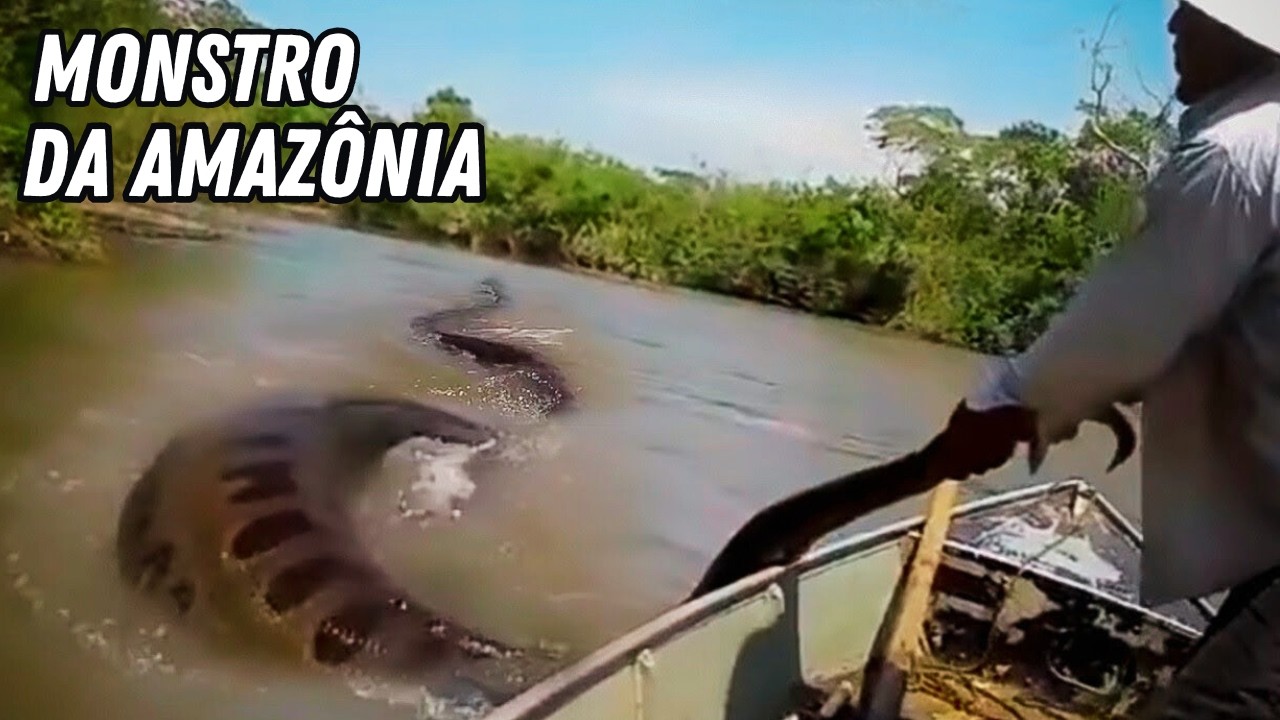 Monstros do Rio Amazonas que Você Precisa Conhecer AGORA - YouTube