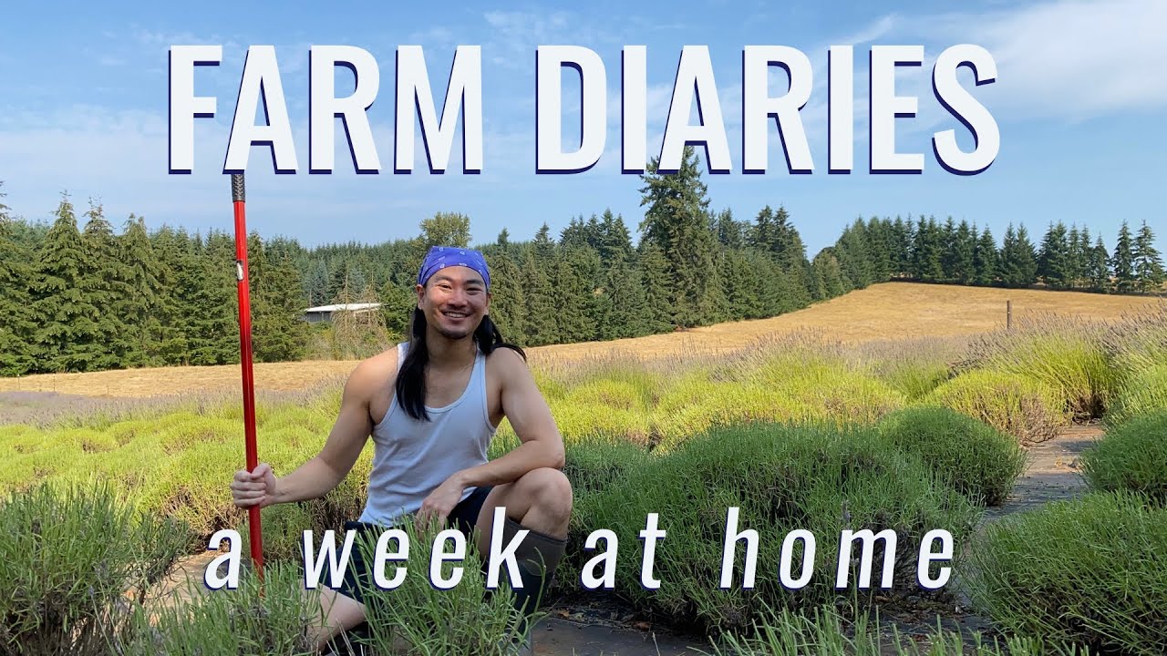 FARM DIARIES 🪻 | A Week At Home - YouTube