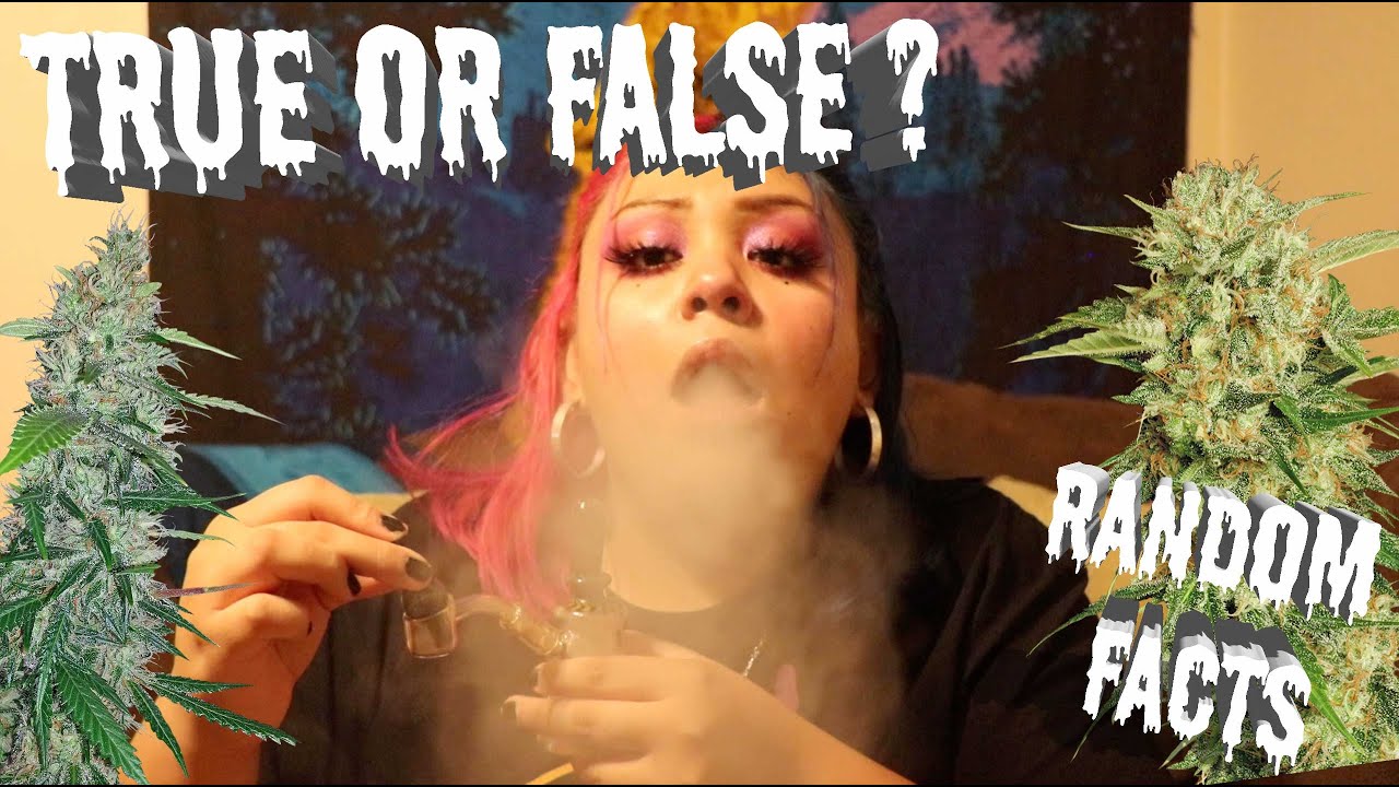 TRUE OR FALSE RANDOM FACTS YouTube