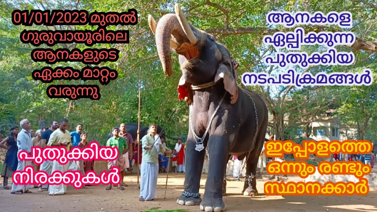 Elephant Booking Details Guruvayur Devaswom 01 01 2023 elephant-booking-details-guruvayur-devaswom-01-01-2023