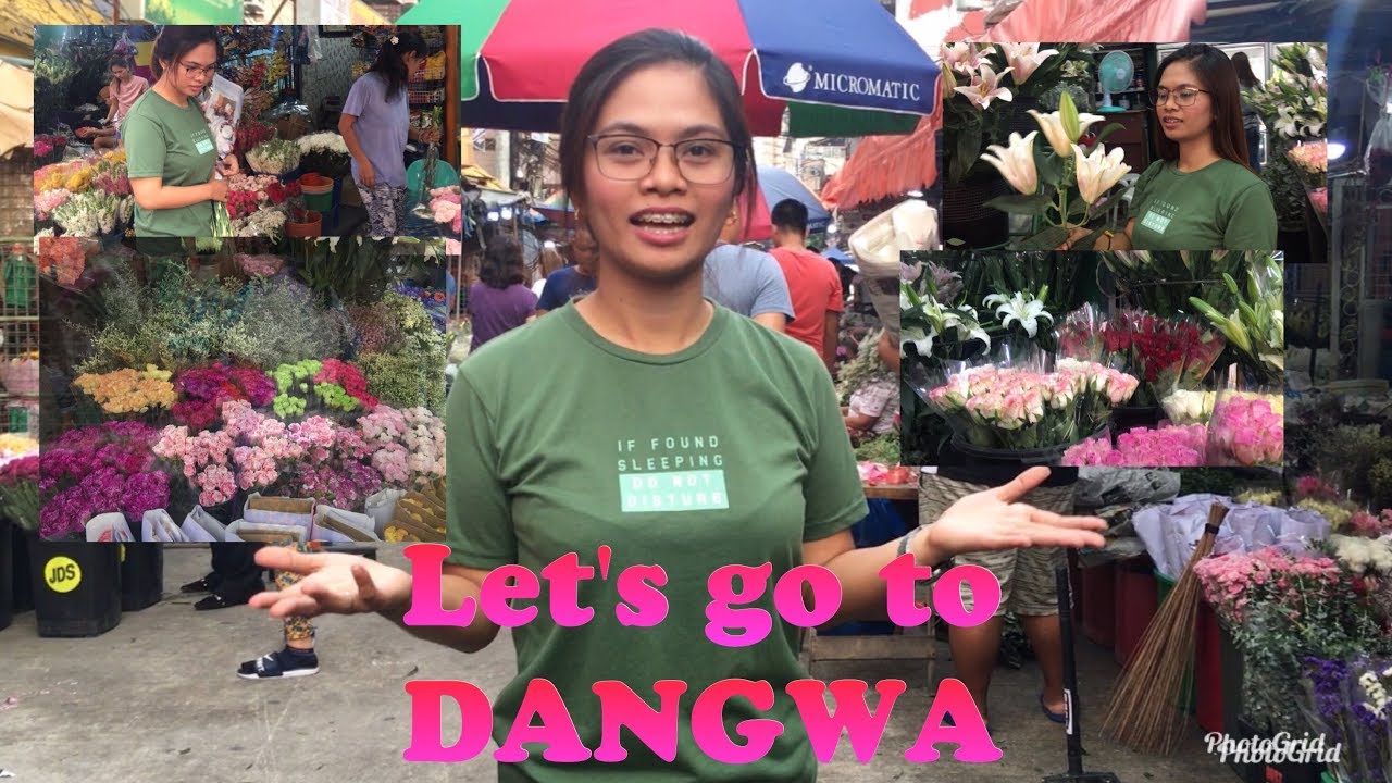Trip to DANGWA 🌸 - YouTube