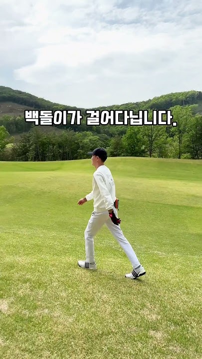 푸릇푸릇한 잔디위에 백돌이가 걸어다닙니다 Youtube