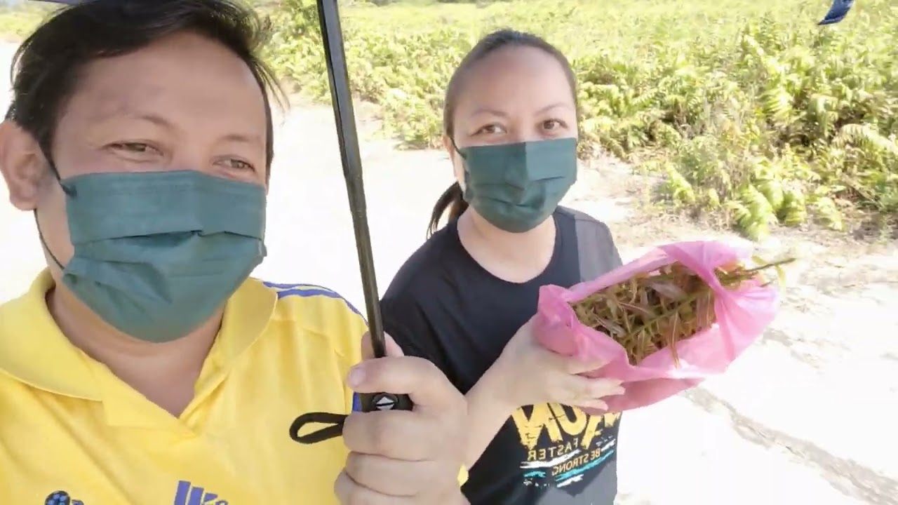 Ngiga kemiding Ba Pulau Pinang (Design Village - YouTube