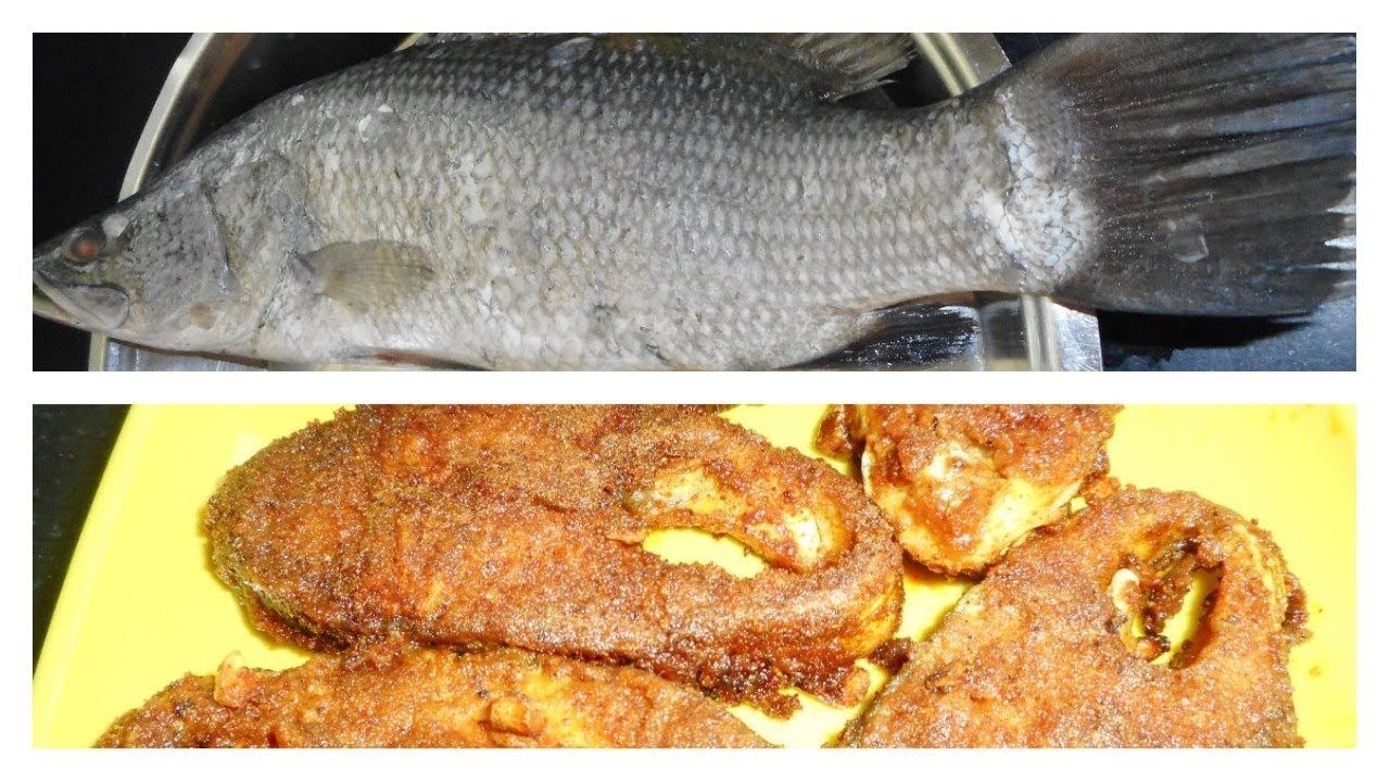 जित्याची मच्छी फ्राय Jitadi Macchi Fish Fry (Maharashtrian recipe ...