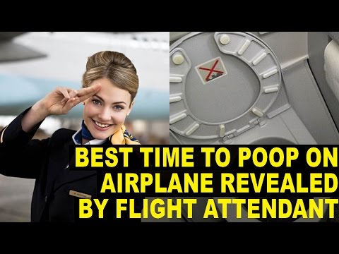 The BEST Time to POOP on a Flight Revealed by Flight Attendant