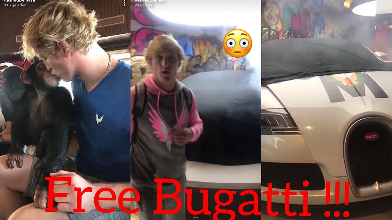 Logan Paul Makes Out With A Monkey In Dubai and Gets a FREE BUGATTI ...