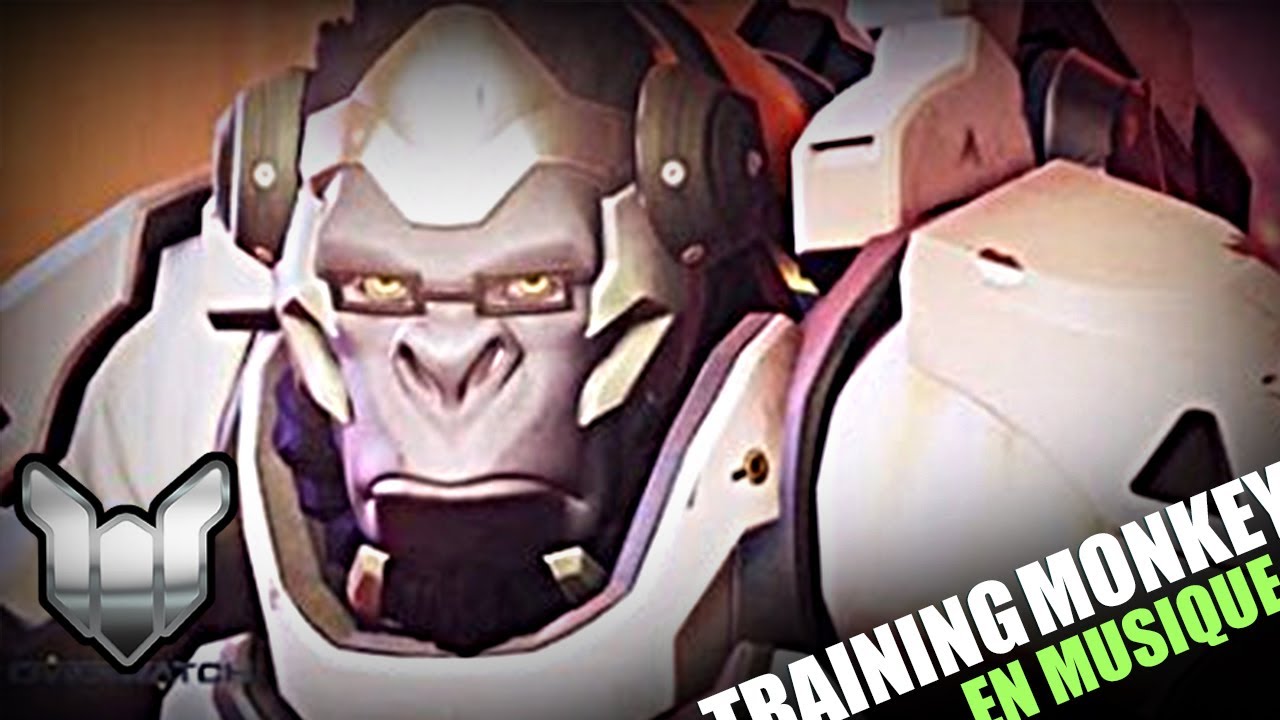 Monkey overwatch - YouTube