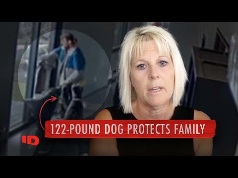 Great Dane Chases Stranger Out of House | Crimes Gone Viral | ID