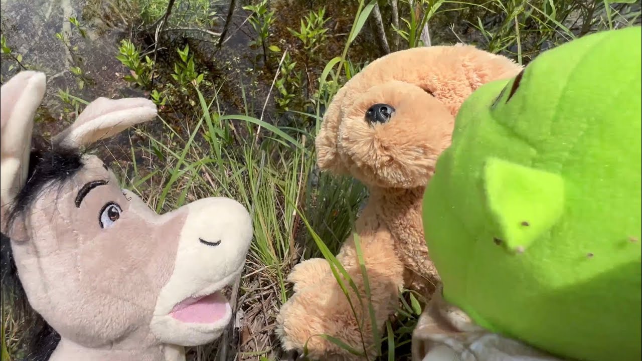 Shrek and Donkey’s Crazy Encounter - YouTube