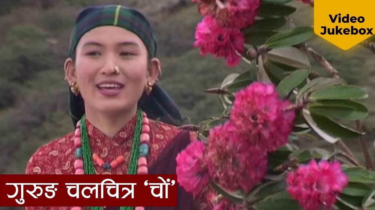 Cho चों - Gurung Movie | Gurung song video jukebox - YouTube